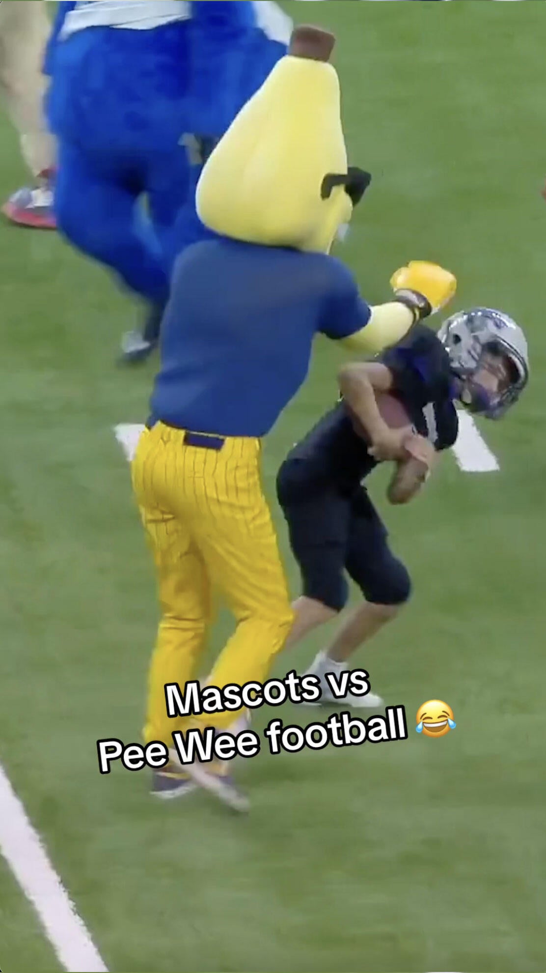 Mascots crush Pee Wee team Stream of General Videos - CBS Sports