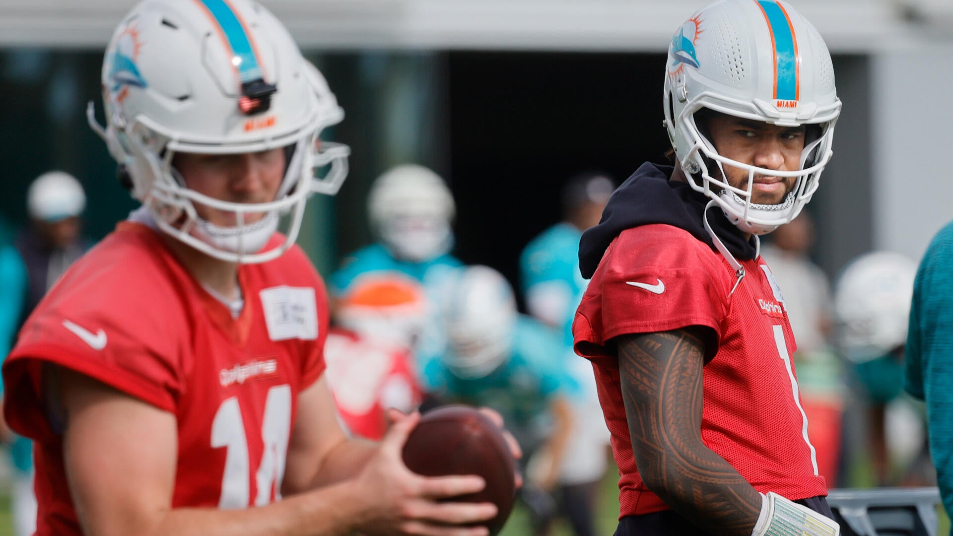 Week 16 On-Site Preview: Bengals at Dolphins Stream of National ...
