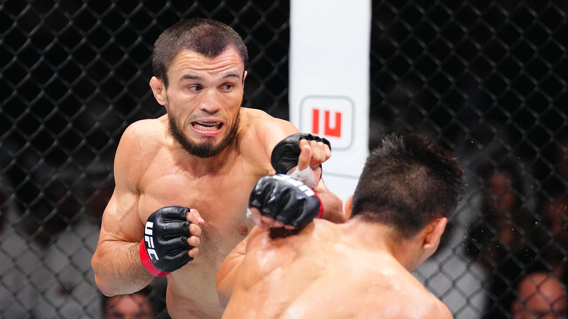 Who Owns UFC Bantamweight in 2026? | Bold Predictions Stream of UFC ...