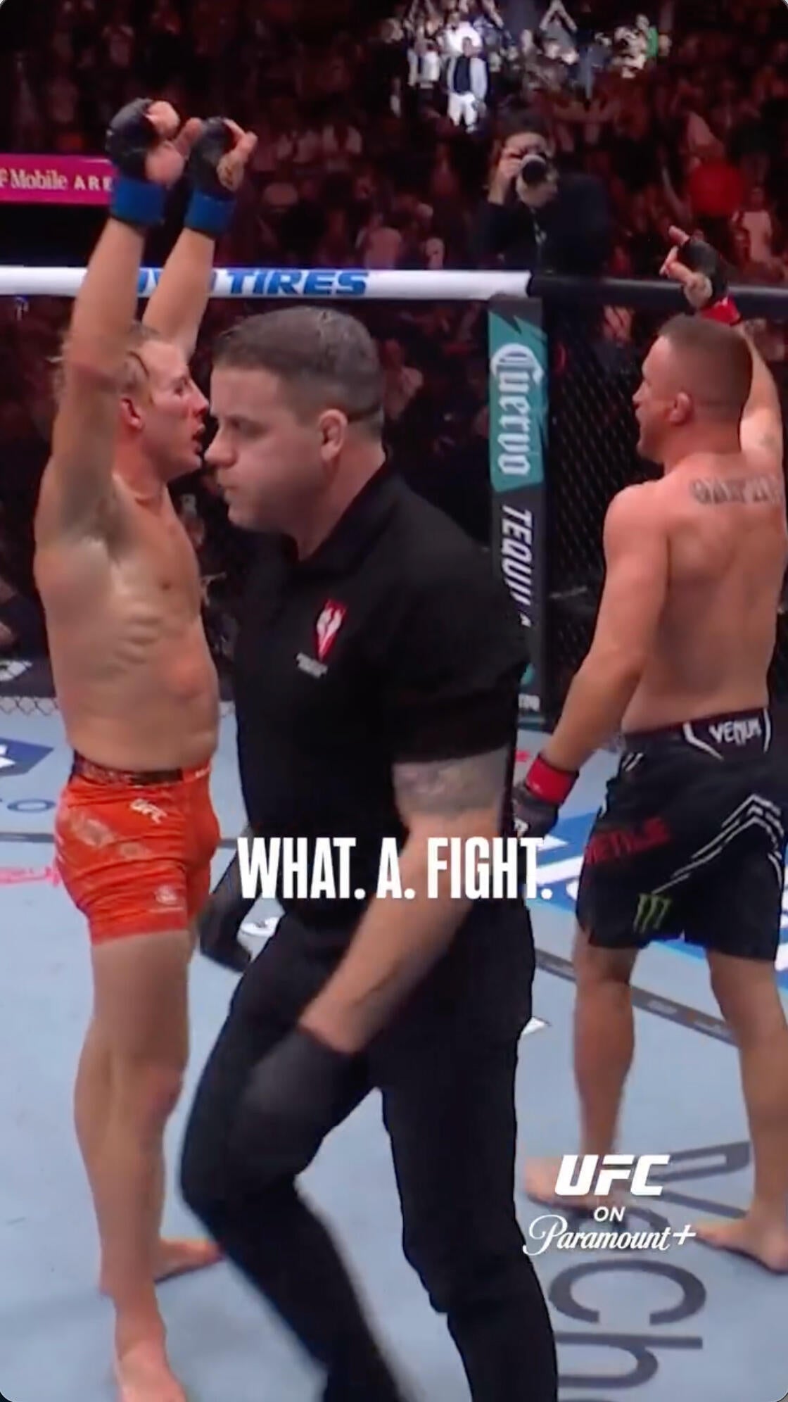 WHAT. A. FIGHT! Stream of UFC - CBS Sports