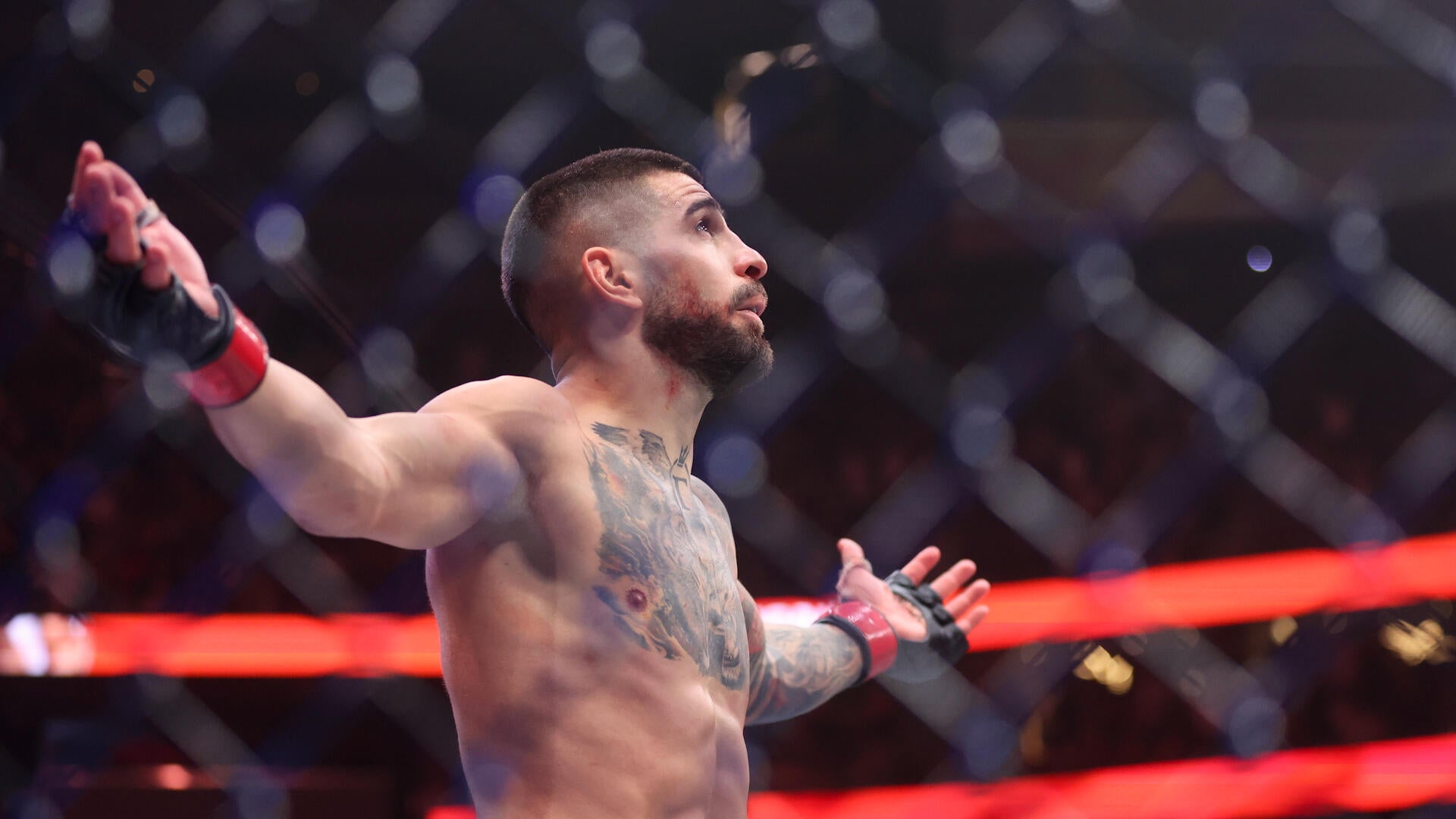 Initial Reactions To The Freedom 250 Card Stream of UFC - CBS Sports