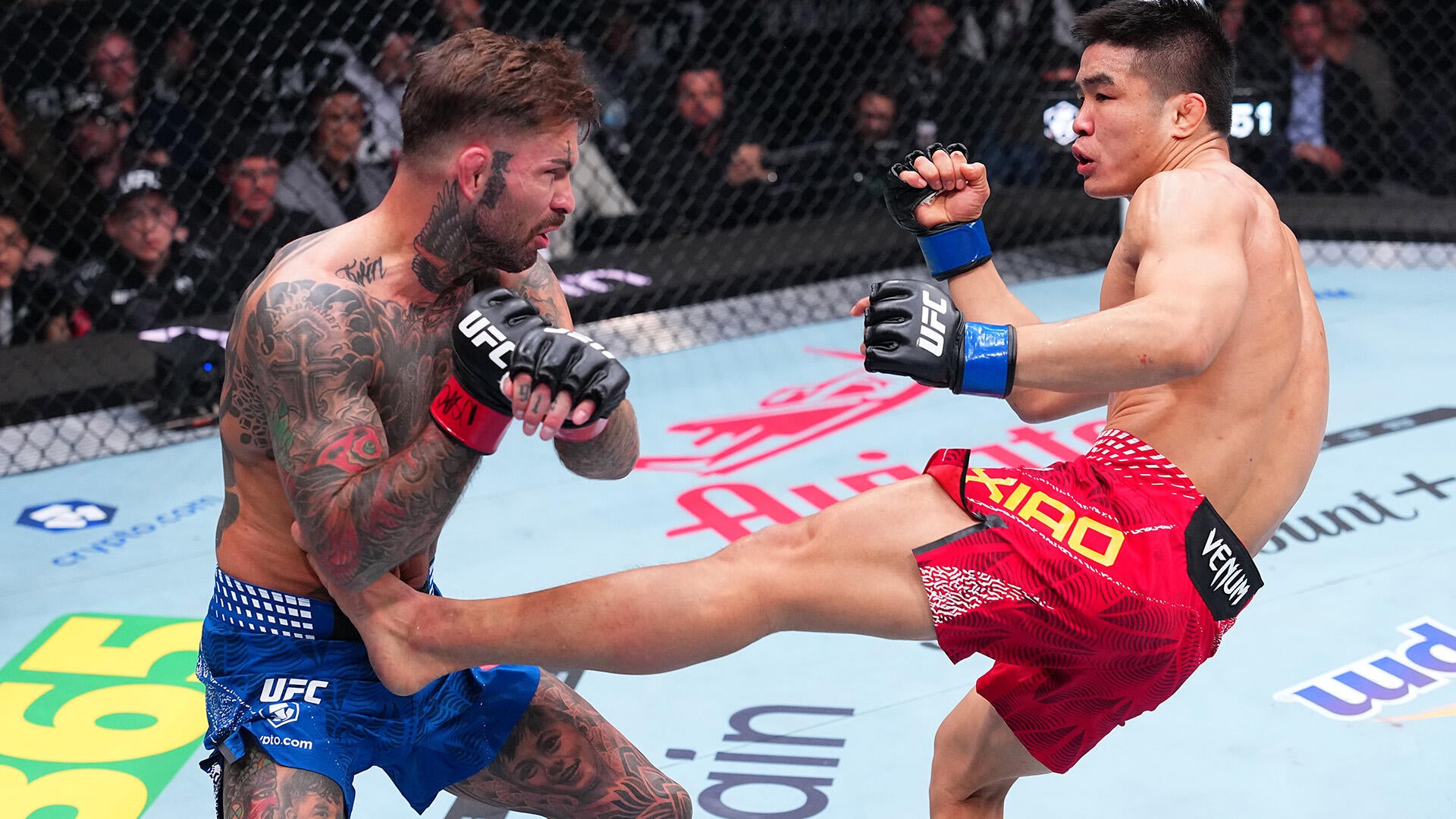 LOW BLOW done him dirty: Groin kick nearly takes out Cody Garbrandt at ...