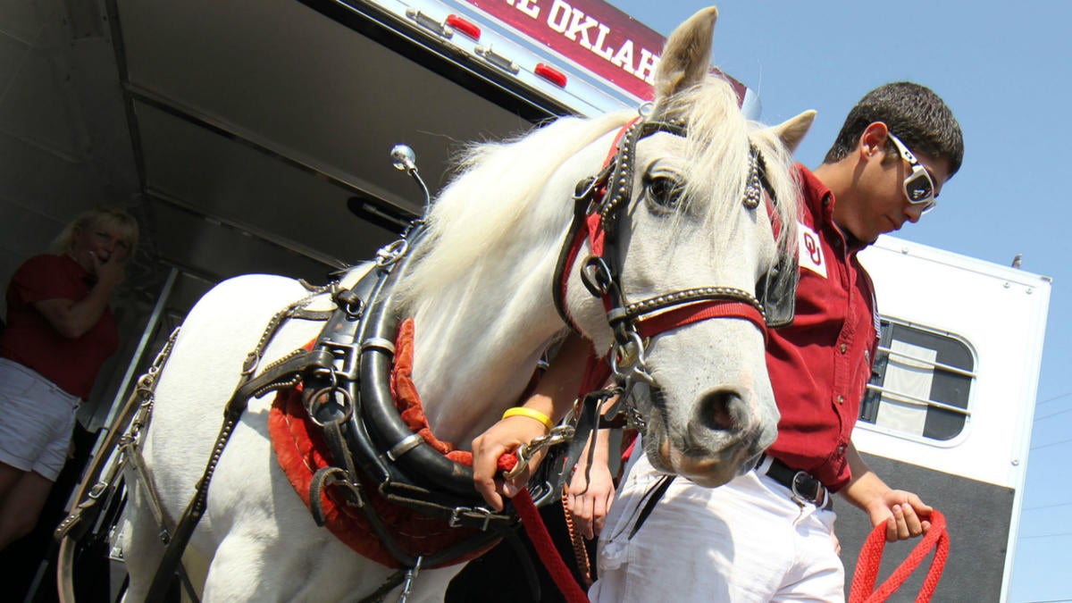 Picking the ponies: College football win total picks for Sooners ...