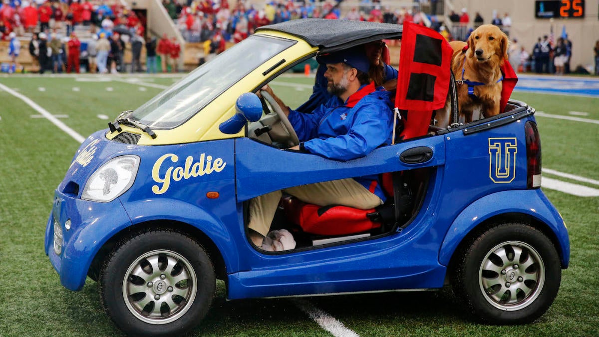 LOOK: The best of college football's live dog mascots for National Dog ...