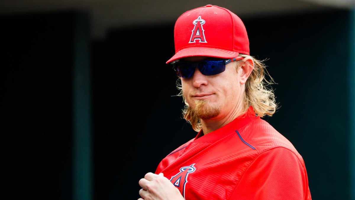 WATCH: Jered Weaver almost goes 'Randy Johnson' on a dragonfly ...