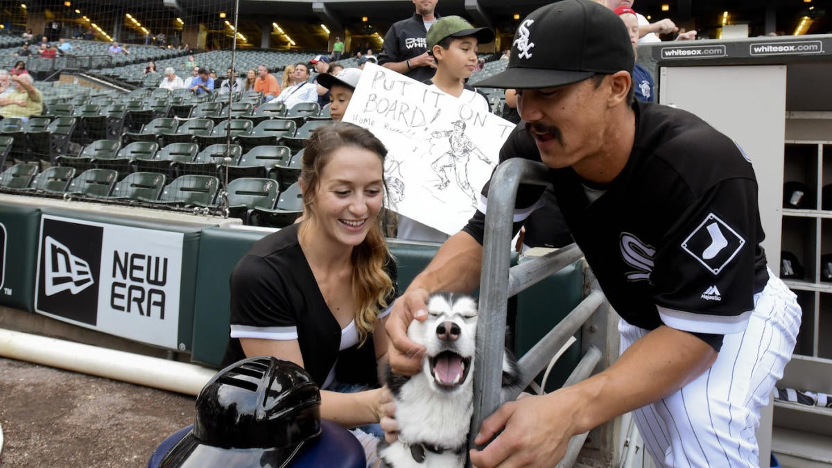 LOOK: White Sox fans and their dogs set a world record - CBS Sports