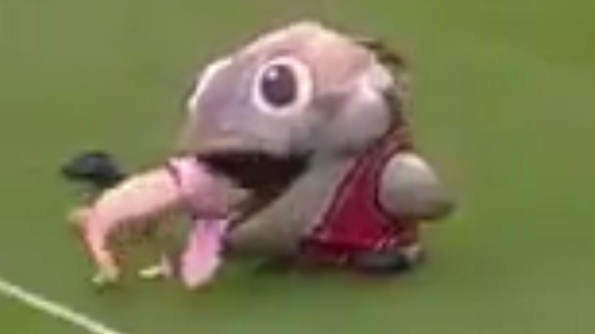 WATCH: Man-eating inflatable fish mascot hilariously steals English ...