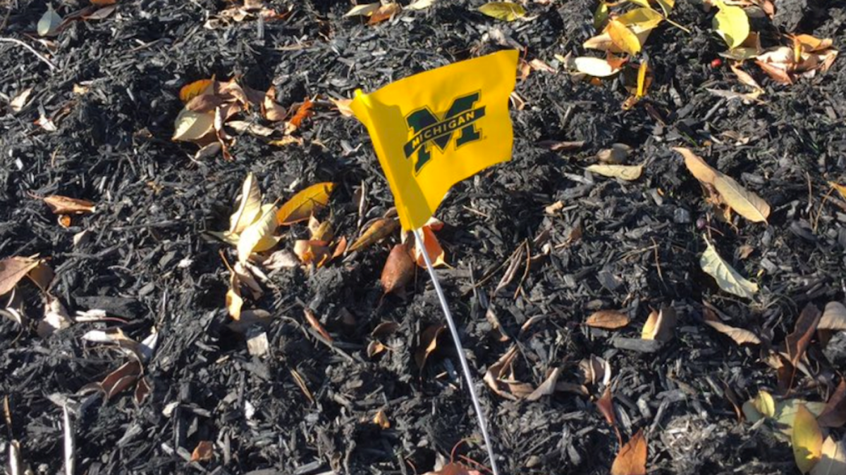 LOOK: Michigan fan plants a flag in Ohio State coach Urban Meyer's yard ...