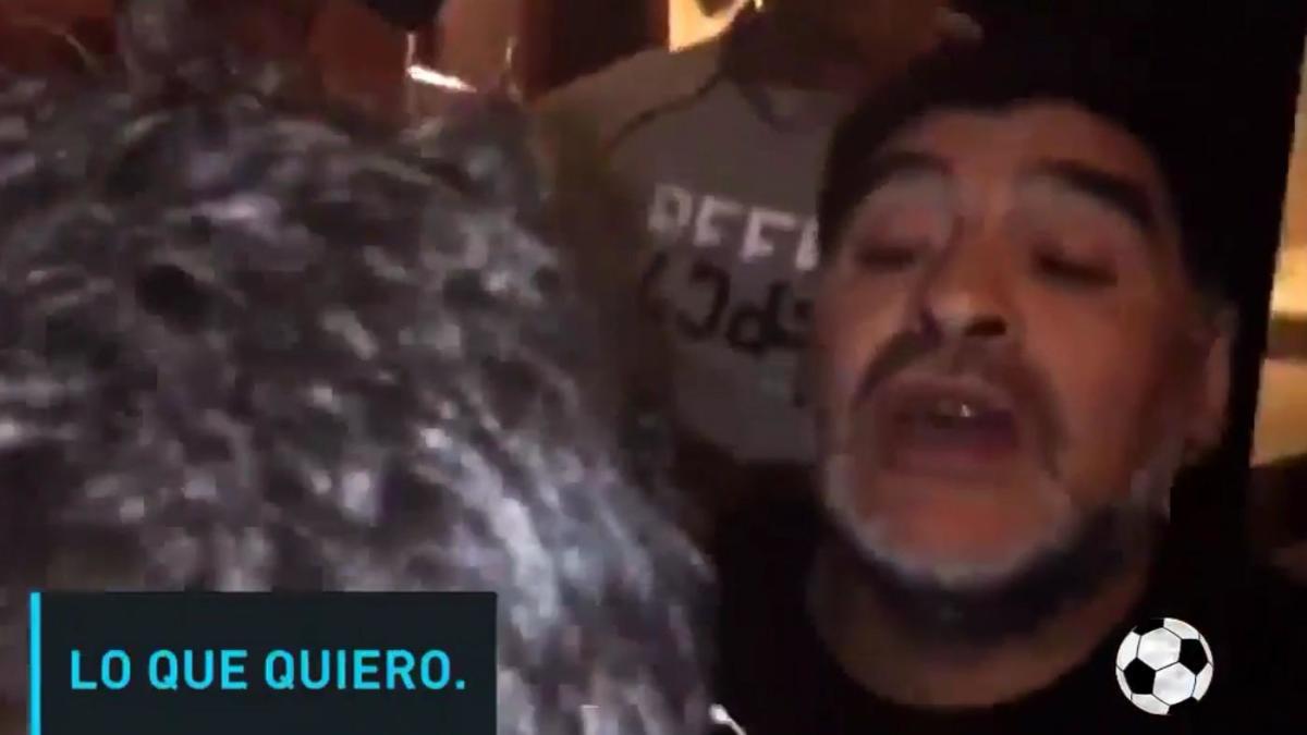 Soccer legend Diego Maradona threatens journalist before Real Madrid ...