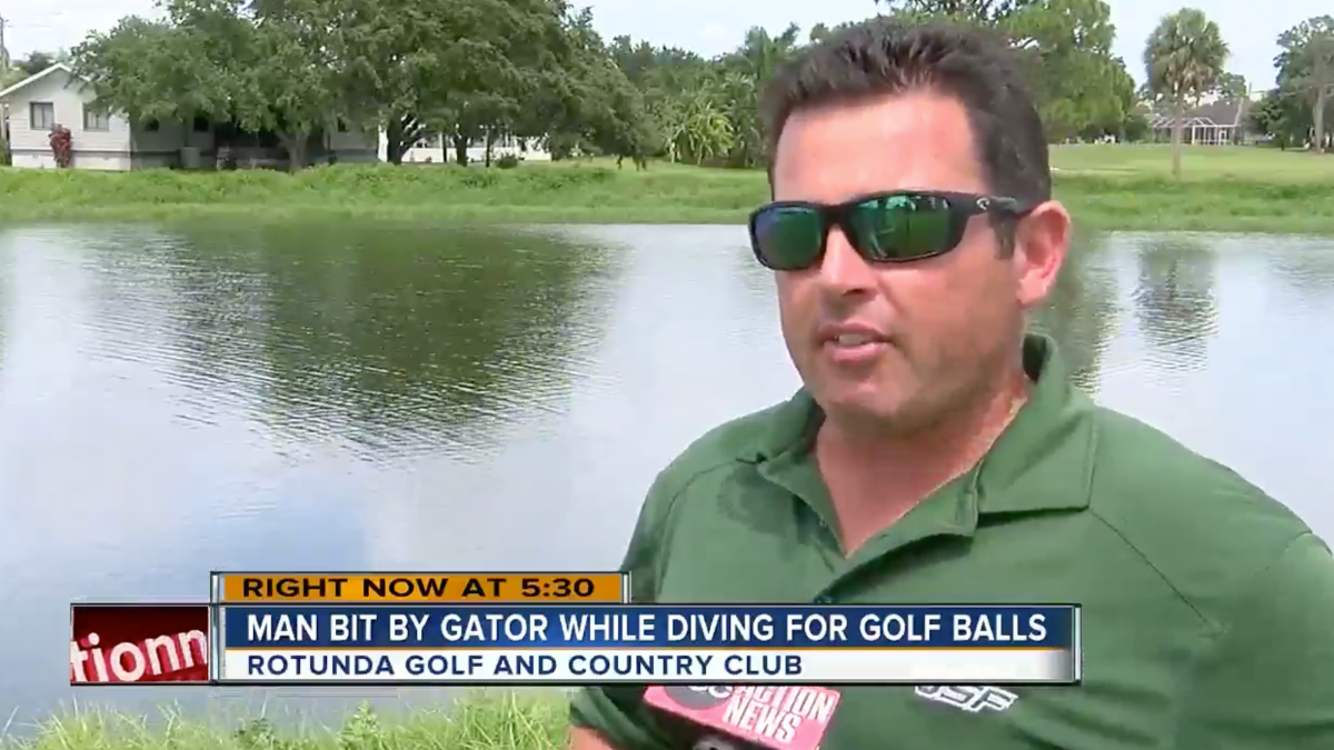 Florida man punches alligator that bit him while diving for golf balls ...