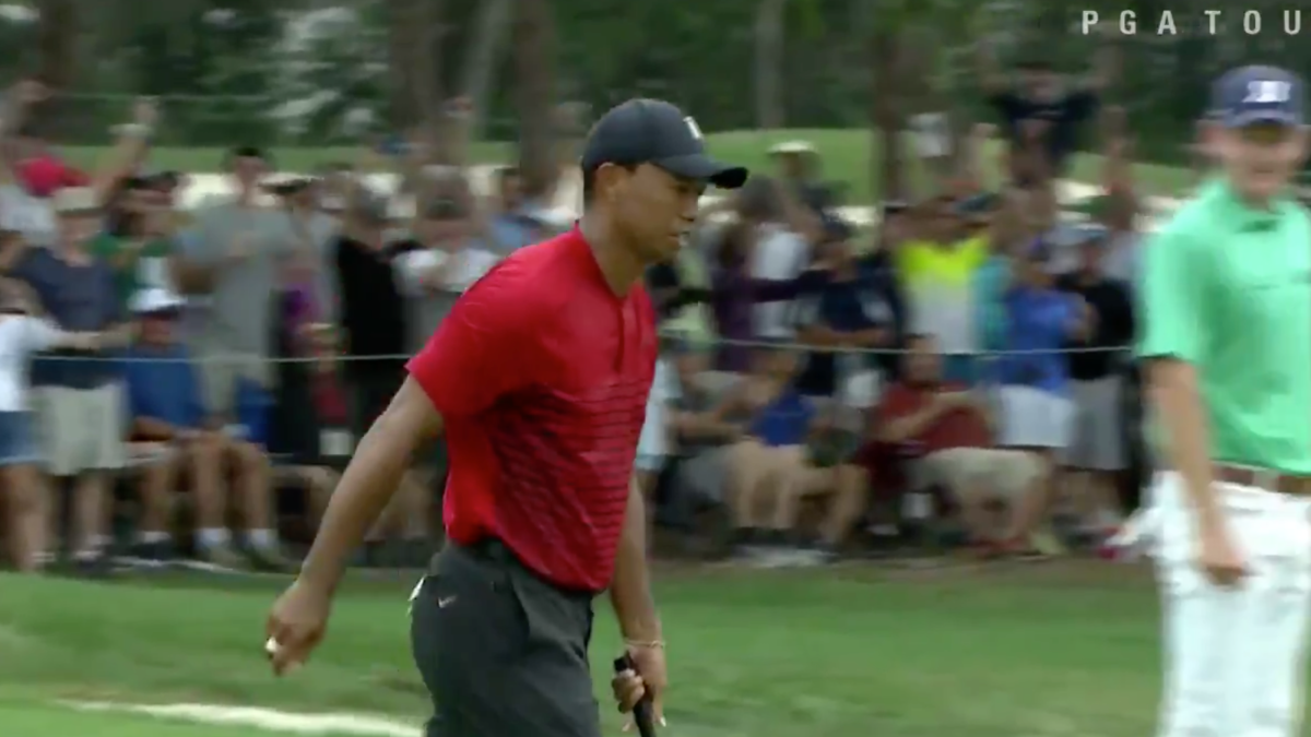 Watch Fans Go Nuts As Tiger Woods Drops Insane 44 Foot Birdie Putt