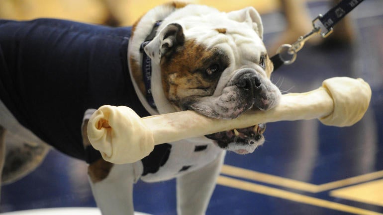 Why Butler Blue III, the adorable bulldog mascot, can't attend NCAA ...