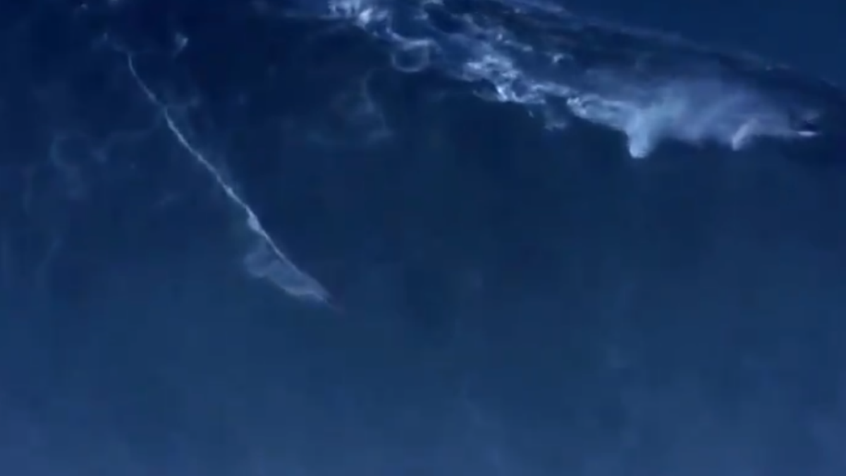 Brazilian surfer Rodrigo Koxa honored for setting new world record for ...