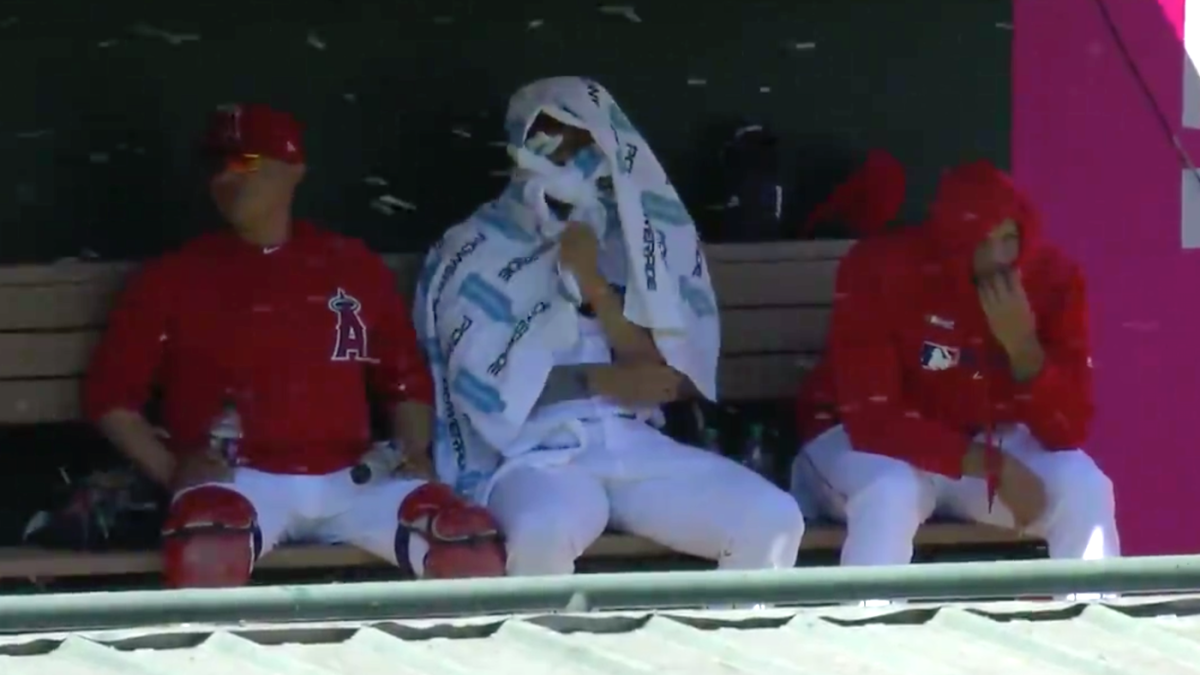Angels and Rangers players endure horrific 'bee delay' nightmare at Angel Stadium - CBS Sports
