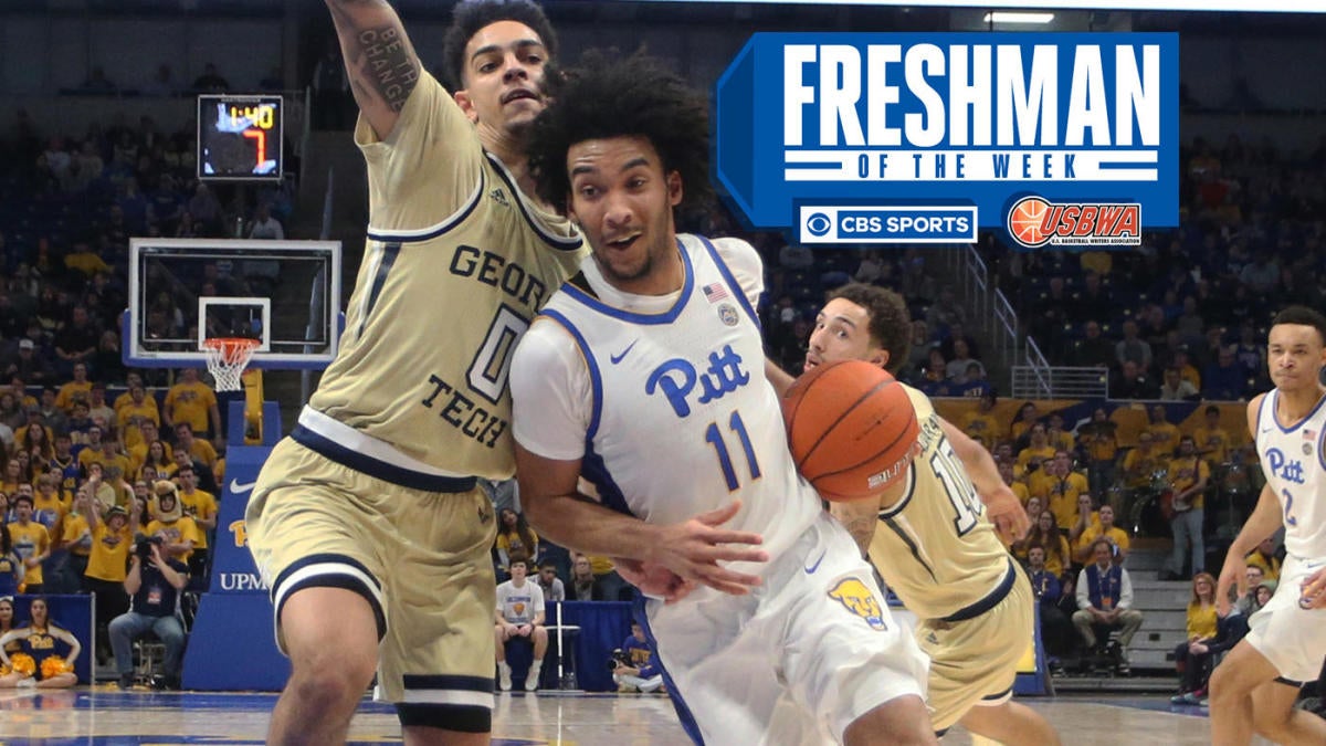 Freshman rankings: Pitt's Justin Champagnie is Freshman of the Week ...