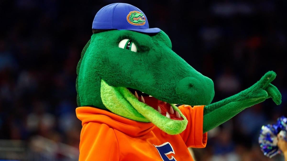 LOOK: Florida hilariously trolls Georgia with dog tags joke after ...