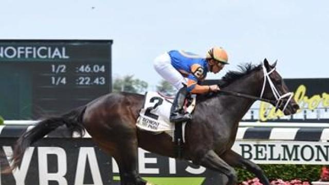 Run For Roses Countdown Forte Set To Run In The Fountain Of Youth