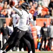 Josh Johnson, Baltimore Ravens, QB - News, Stats, Bio - CBSSports.com