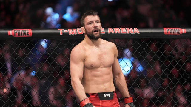 UFC Fight Night Preview, Prediction