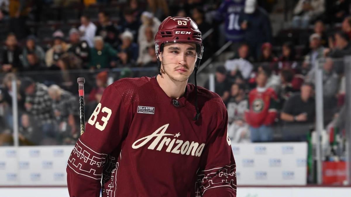 Coyotes place Adam Ruzicka on waivers to terminate his contract after ...
