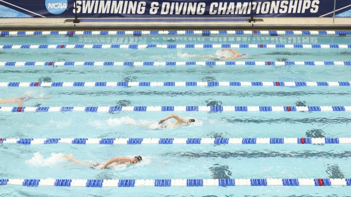 Three members of Wyoming's swim team killed in car crash - CBSSports.com