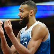 Rudy Gobert, Minnesota Timberwolves, C - News, Stats, Bio - CBSSports.com