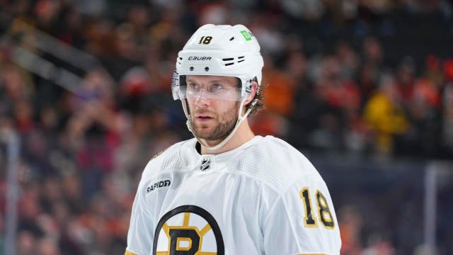 Zacha's Goal Lifts Bruins Over Panthers