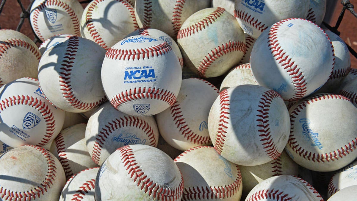 LOOK: Dog snags home run ball during University of Arizona baseball ...