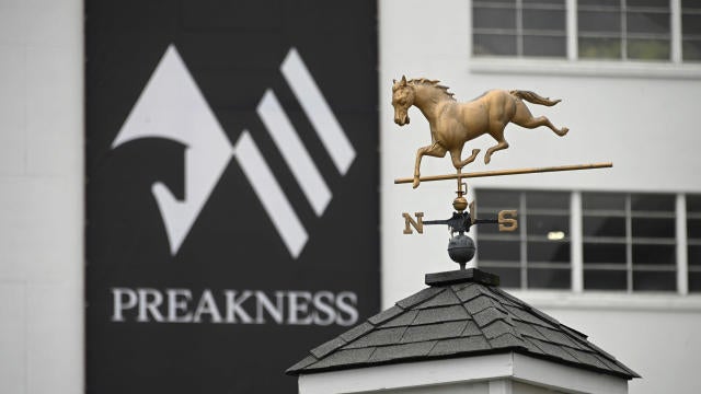 Preakness Stakes: Tim Doyle will be watching this long shot