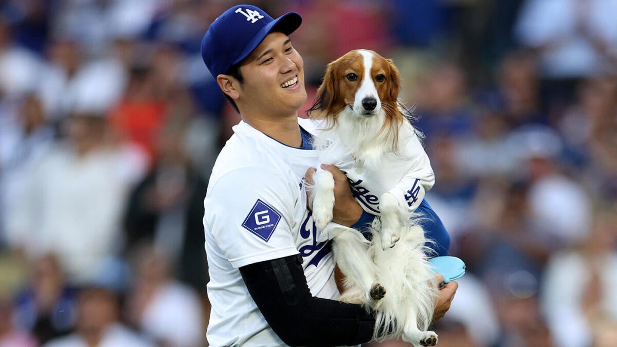 Dodgers' Shohei Ohtani announces children's book starring his dog Decoy ...
