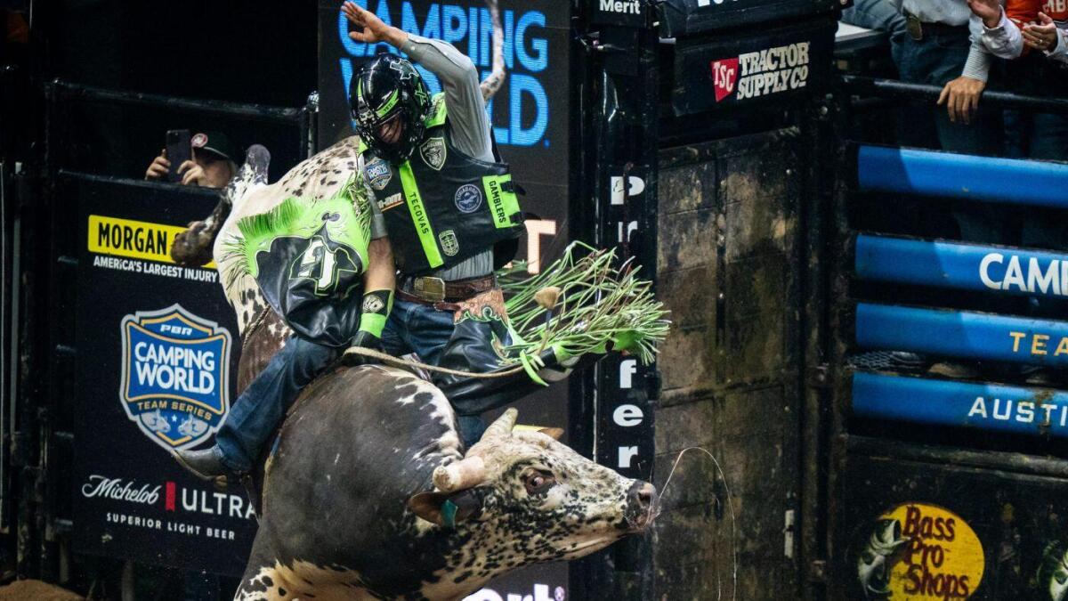 PBR season preview: Austin Gamblers begin Team Series title defense ...