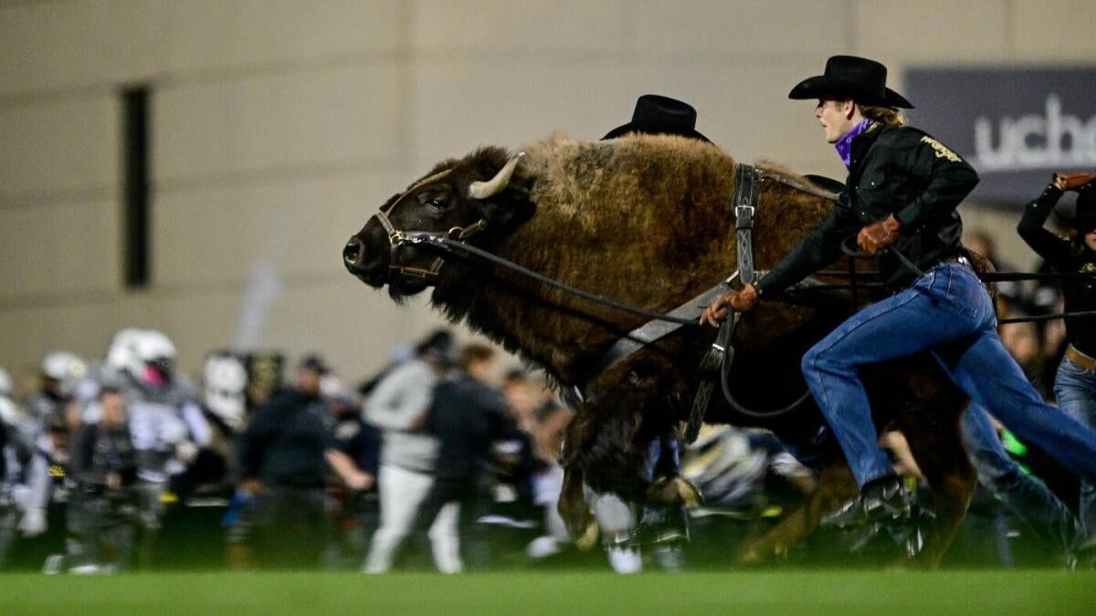 Colorado retires Ralphie VI due to 'an indifference to running,' will ...