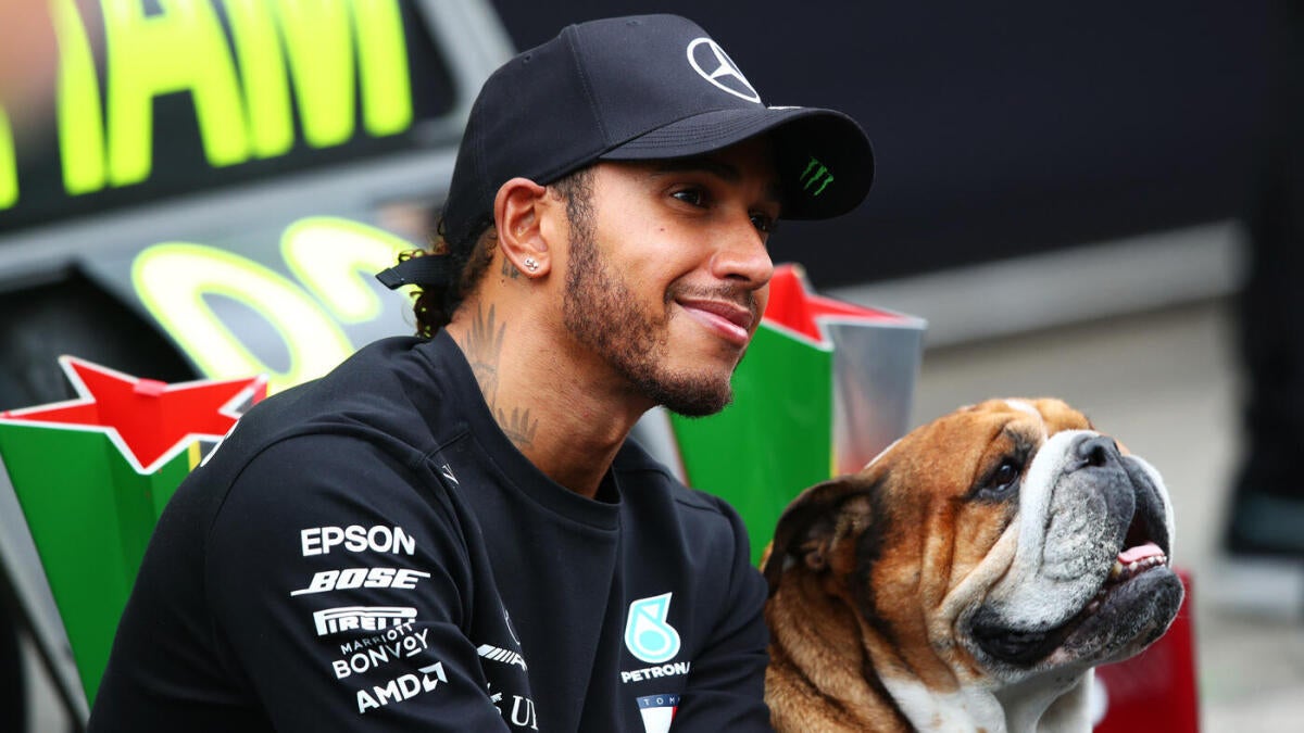 Roscoe, Formula 1 star Lewis Hamilton's beloved dog, dies after ...